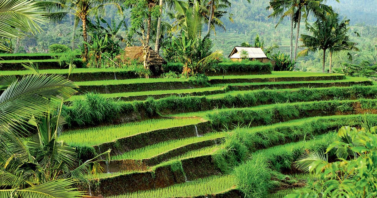 Bali – raj na zemlji - Aktivni.si