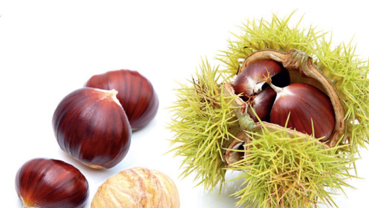 Domači kostanj, najbolj priljubljena jesenska jed - Aktivni.si