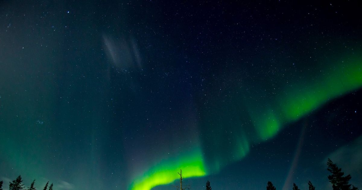 Foto: Polarni sij - Aktivni.si