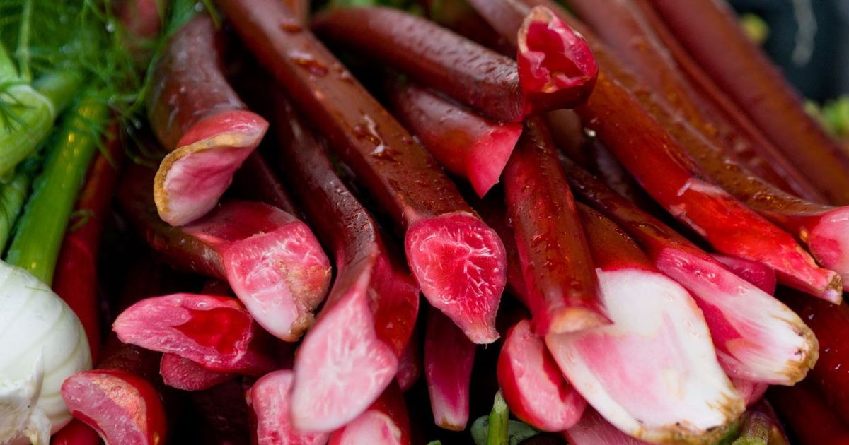 Rabarbara in njeni posebni učinki - Aktivni.si