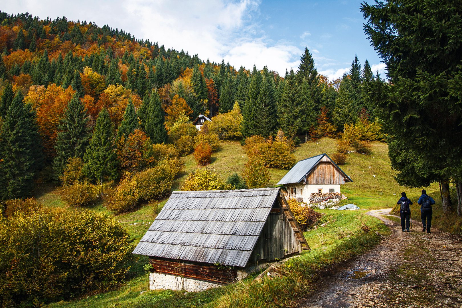 Ideja za izlet: Planina Vogar - Aktivni.si