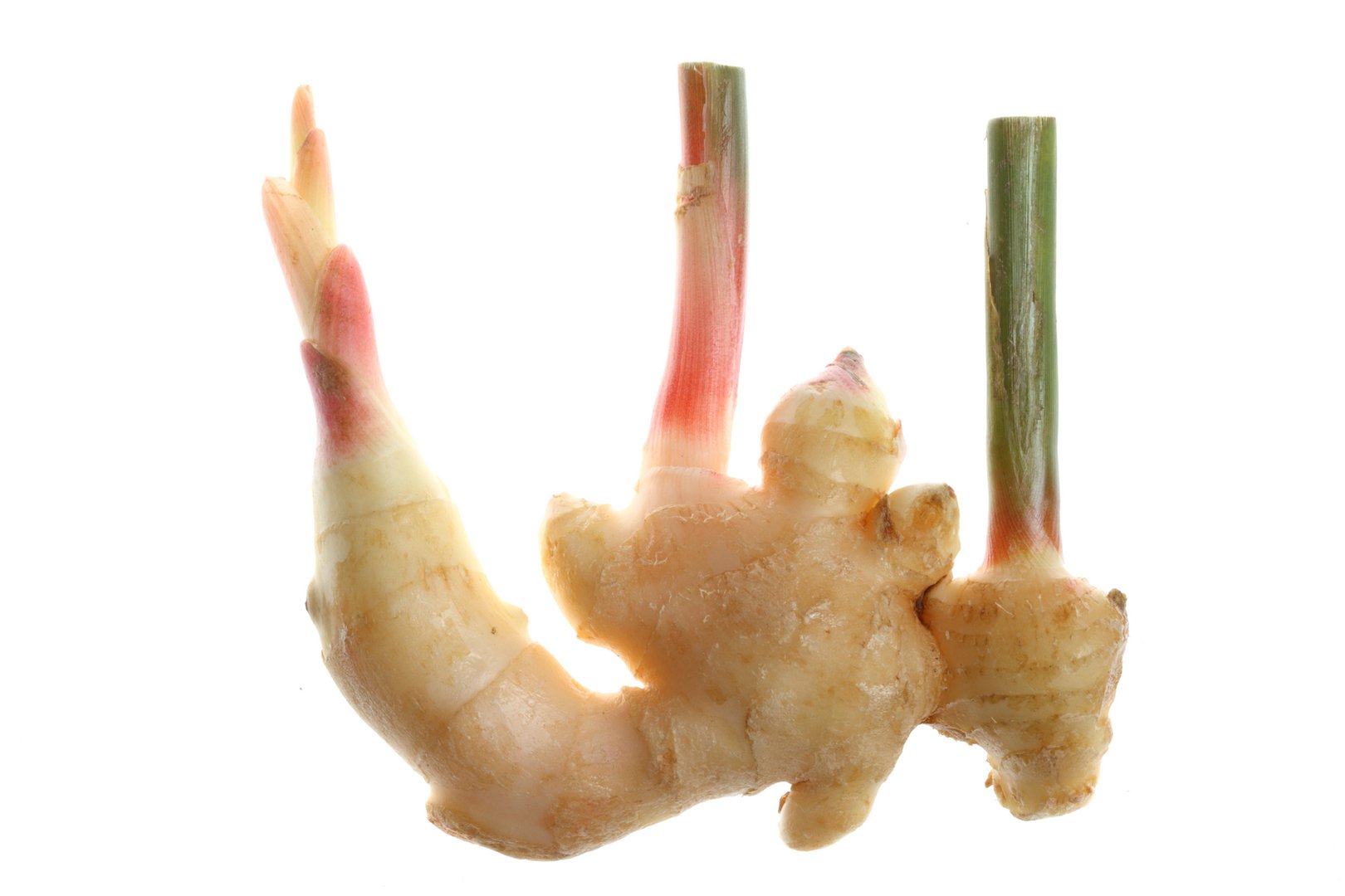 Tako sami doma vzgojite ingver - Aktivni.si