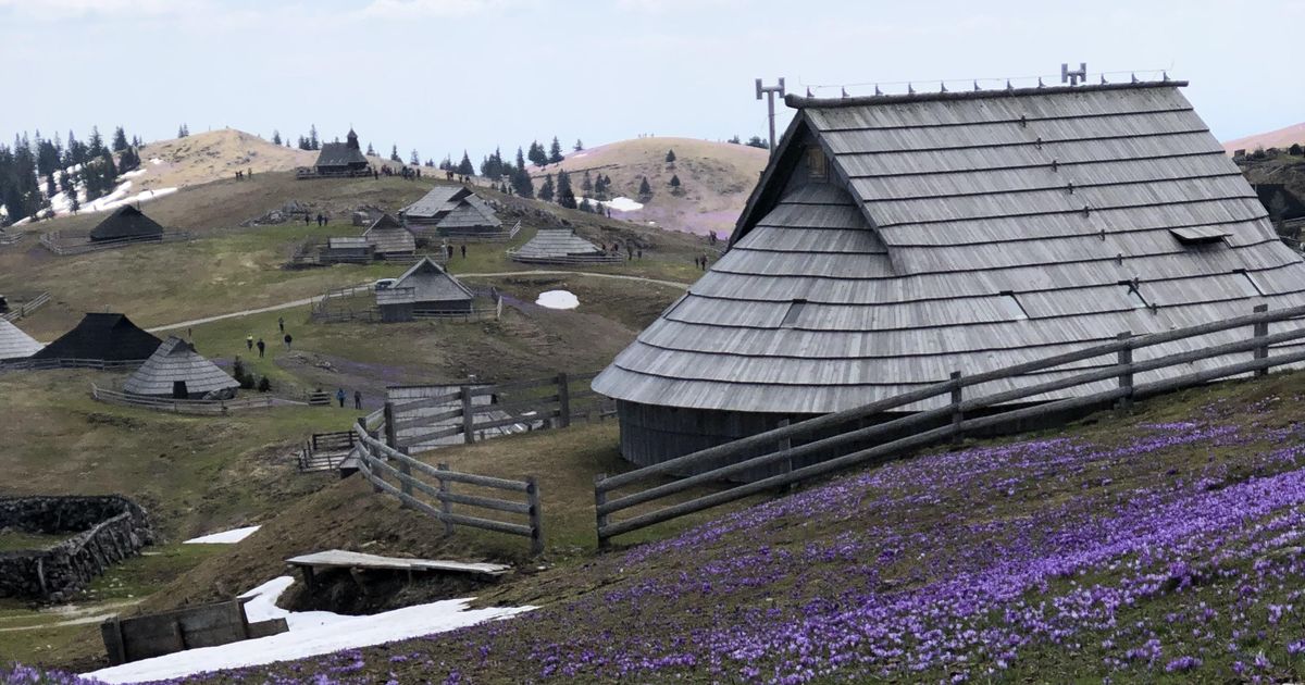Ideja za izlet: na Veliko planino v zimsko pravljico ali na ogled ...