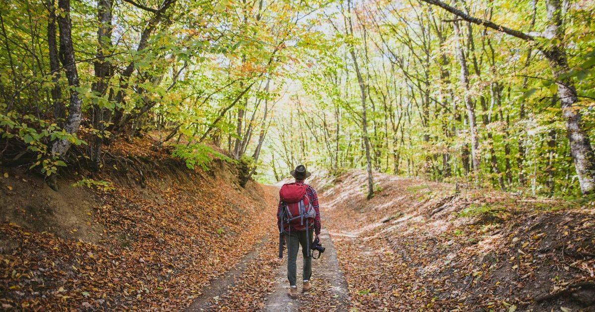 Dajemo vam odlične razloge za jesenske pohode: to so dobre posledice ...