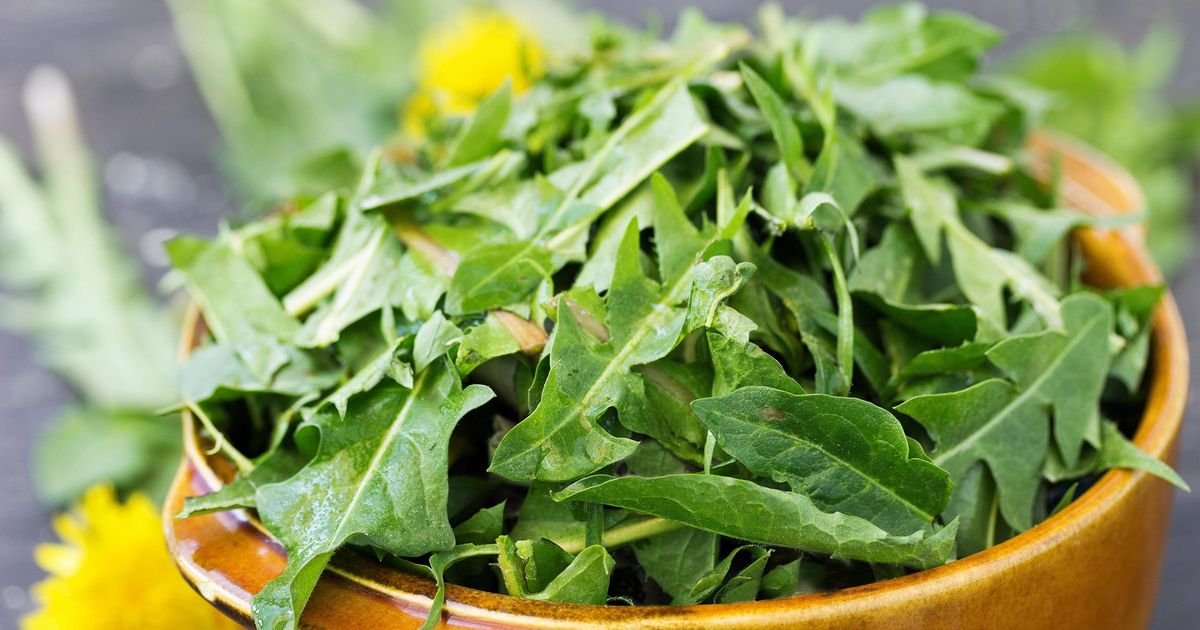 Zeliščarka razkriva, na katerih mestih ne bi smeli nabirati regrata ...