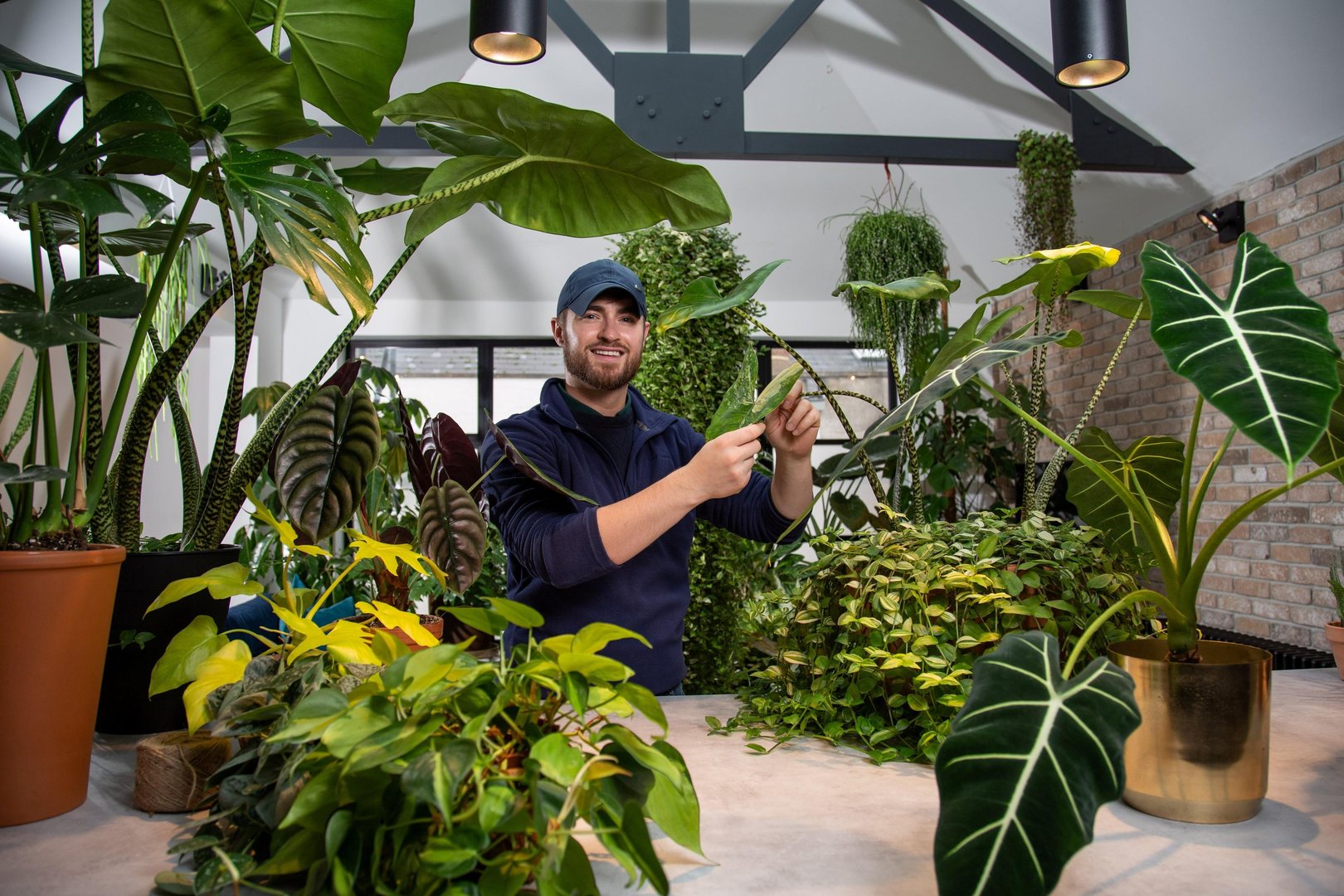 Kako poskrbeti, da bodo vaše rastline preživele tudi najhladnejšo zimo? Pomagajte si s tem ...