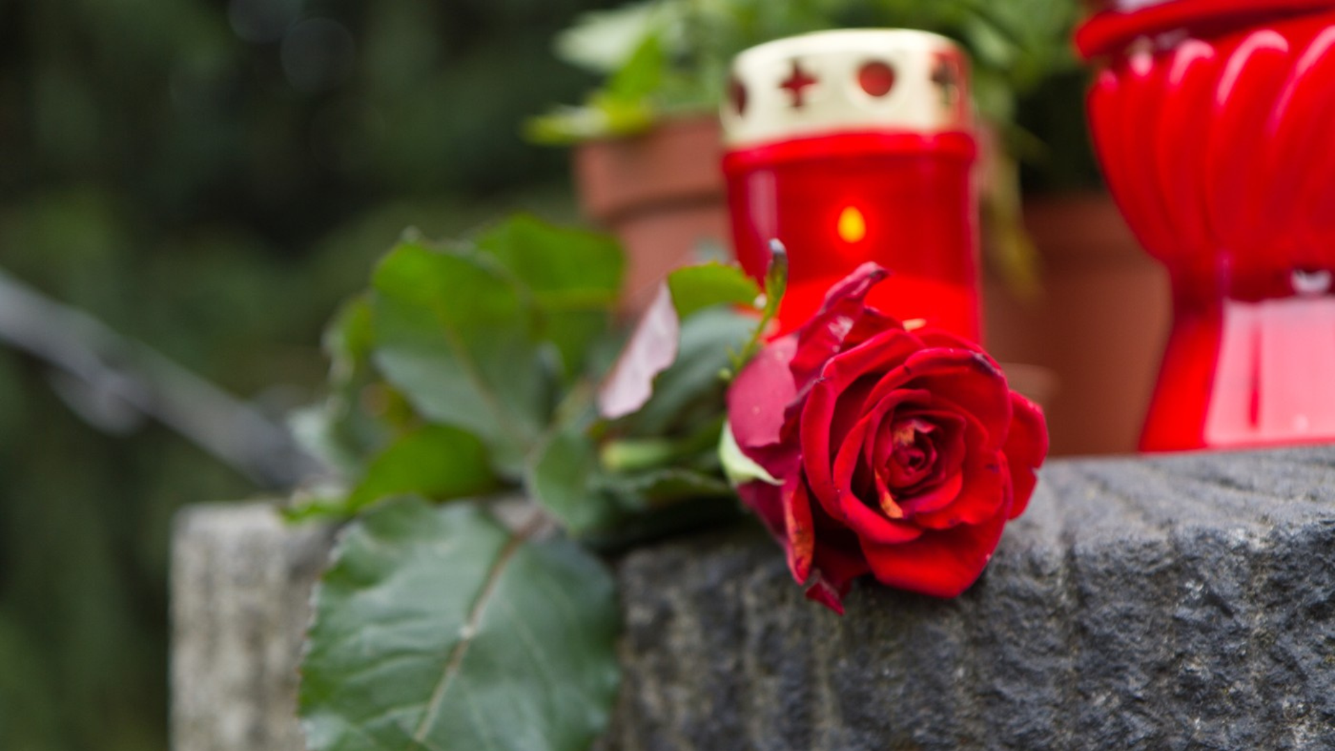 Doma NIKOLI ne bi smeli hraniti slik preminulih svojcev in to je razlog ...