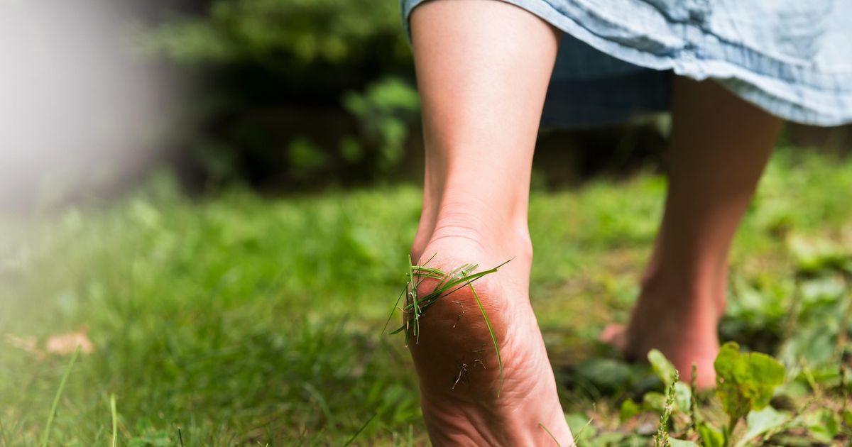 Ta pogosto spregledan del telesa vas lahko opozori na resne zdravstvene ...
