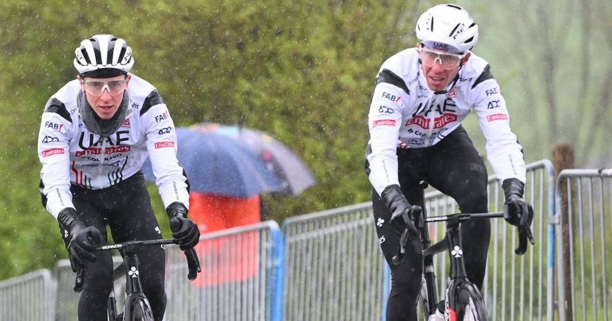 Domen Novak je povedal nekaj resnic o treningu in tekmovanju s Tadejem ...