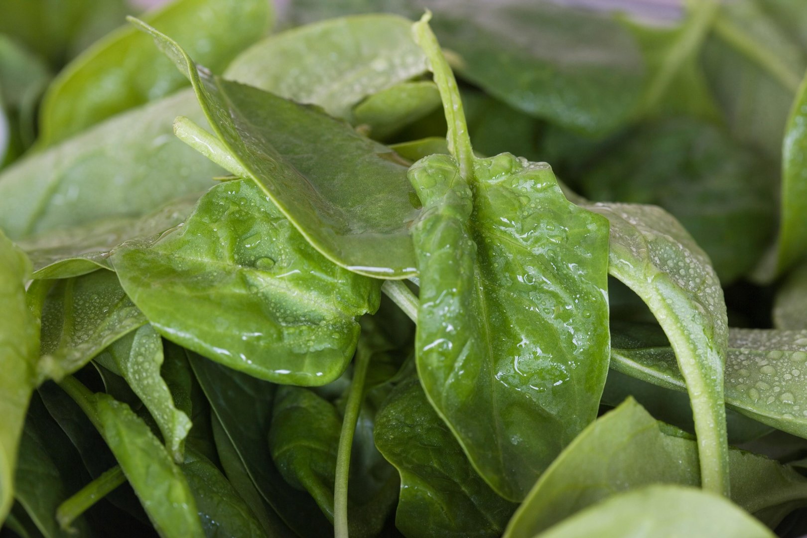 Katero zelenjavo jesti aprila? Ugodno vpliva na srce in imunski sistem ...