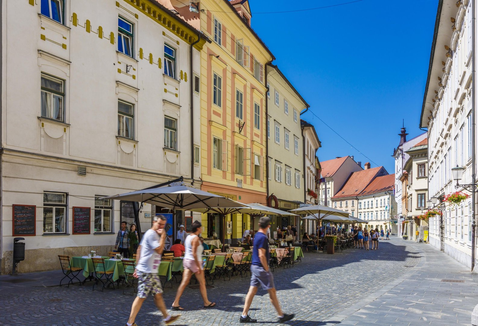 To so stare slovenske besede, na katere smo pozabili: veste, kaj ...