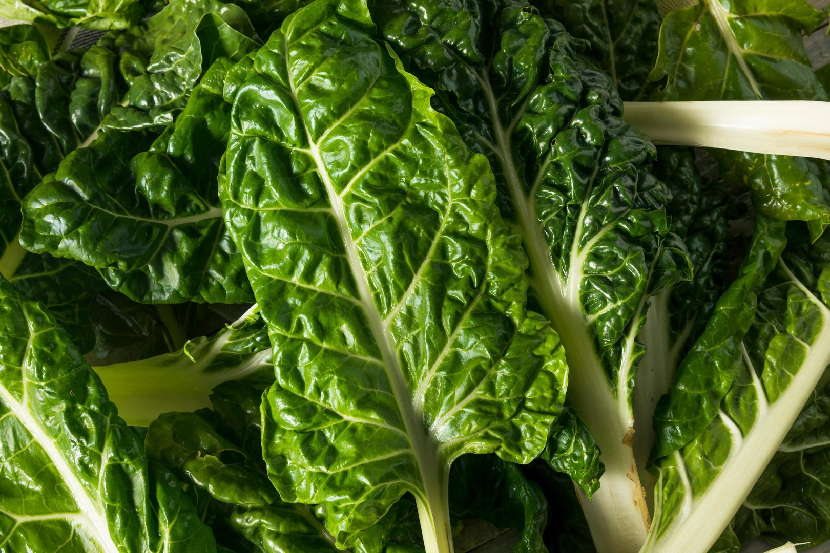 Pogosto jo spregledamo: ta zelenjava je prava hranilna bomba, ima pa le ...